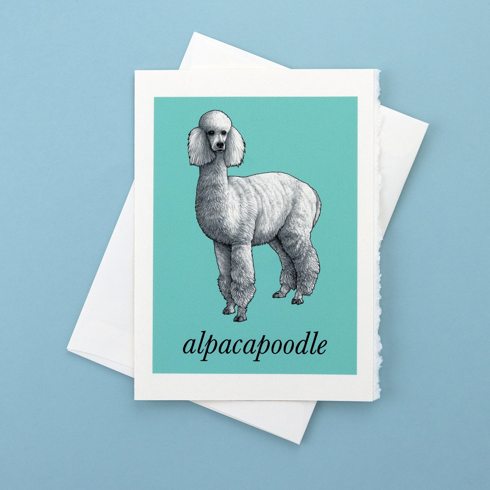 Whatif Creations | Shop Hybrid Animal Art + Gifts | Portland, OR